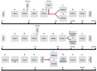 Arrangement & Song Structure Tips